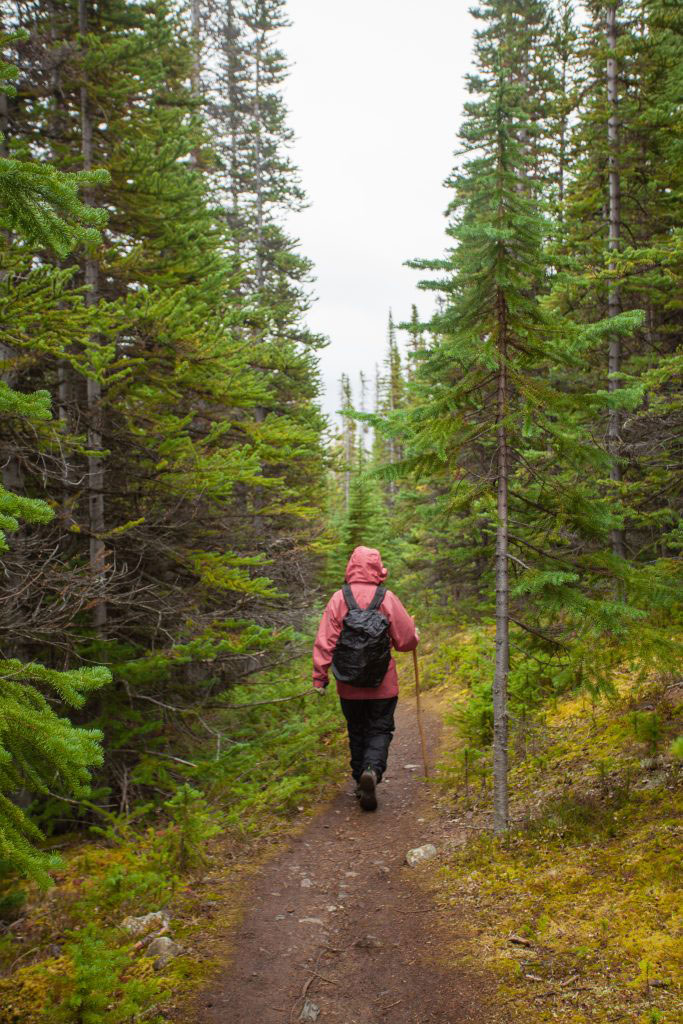 How to explore the British countryside STIHL Blog