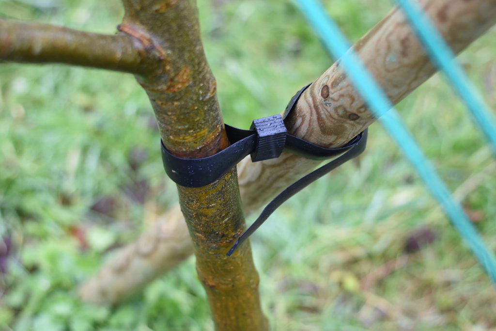 How To Correct A Leaning Tree With Support | STIHL Blog