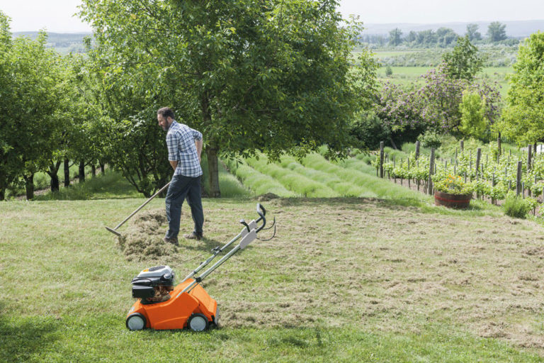 What Is a Lawn Scarifier And How To Use It | STIHL Blog