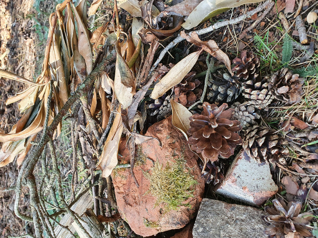 How to Build a Wildlife Den | STIHL Blog