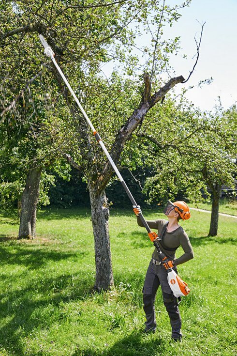 Professional Cordless Tools in the STIHL AP System | STIHL Blog