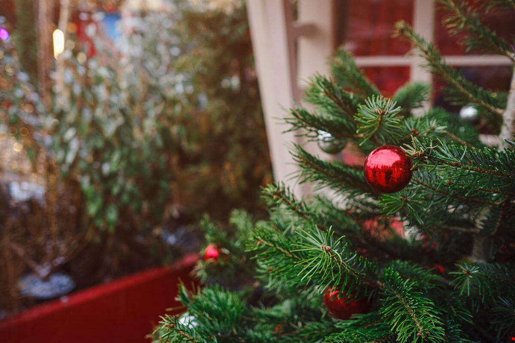 The Ultimate Guide to Real Christmas Trees | STIHL Blog