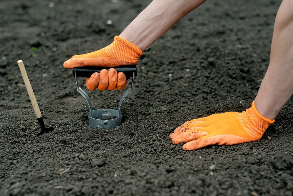 A Guide to Planting Summer Bulbs | STIHL Blog