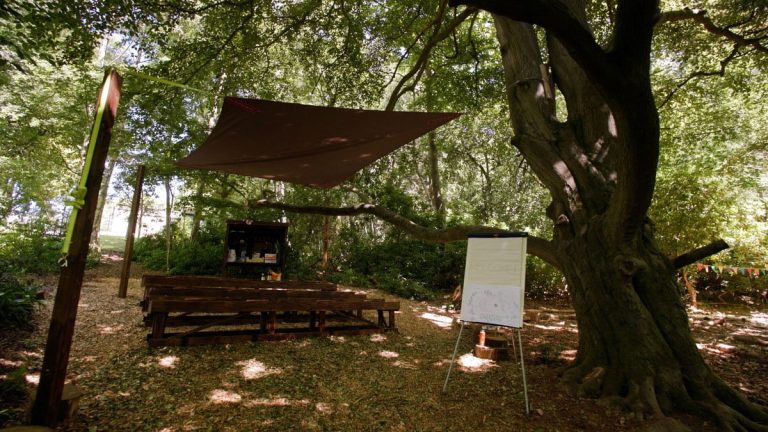 New Forest Classroom for Carwarden House Community School | STIHL Blog