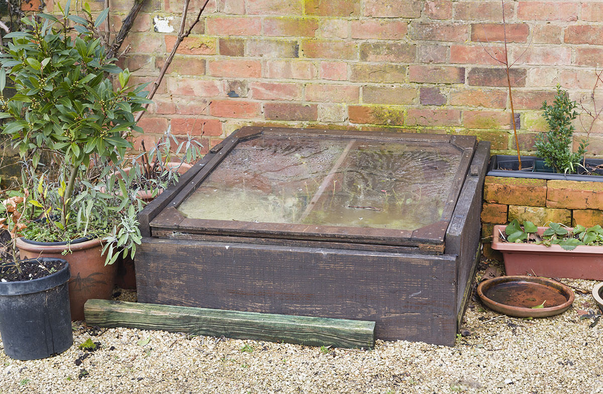 How to Protect Your Garden From Frost Damage | STIHL Blog